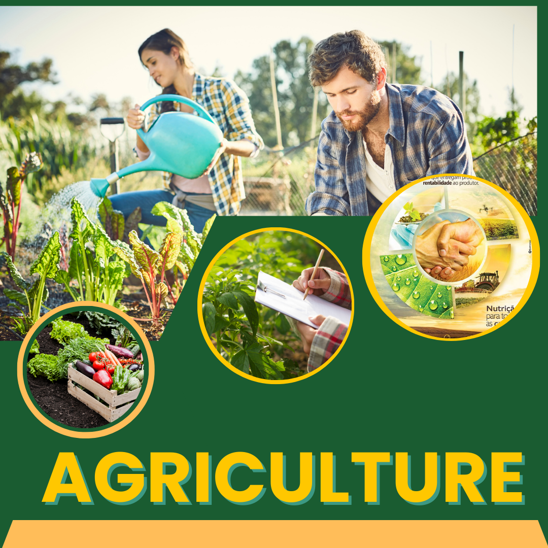 NCETIR | National Council of Educational Training Institute and Research